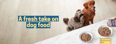 ANIMED Discount Codes - Up to 30% off | Updated Daily