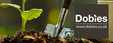 EFLORIST Discount Code: 15% Off in February 2024