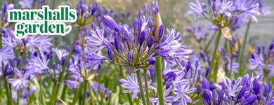 VAX Discount Code: £15 Off in March 2025