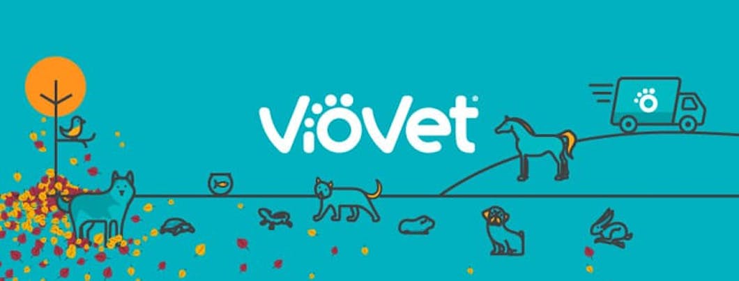 VIOVET Discount Code: 10% Off in March 2023